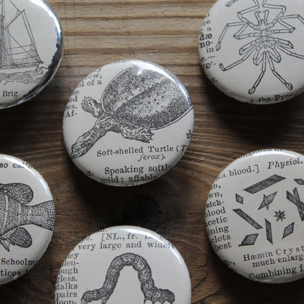 6 pinback buttons: Soft Shelled Turtle, Sea Ship, Fish, and other anti ...