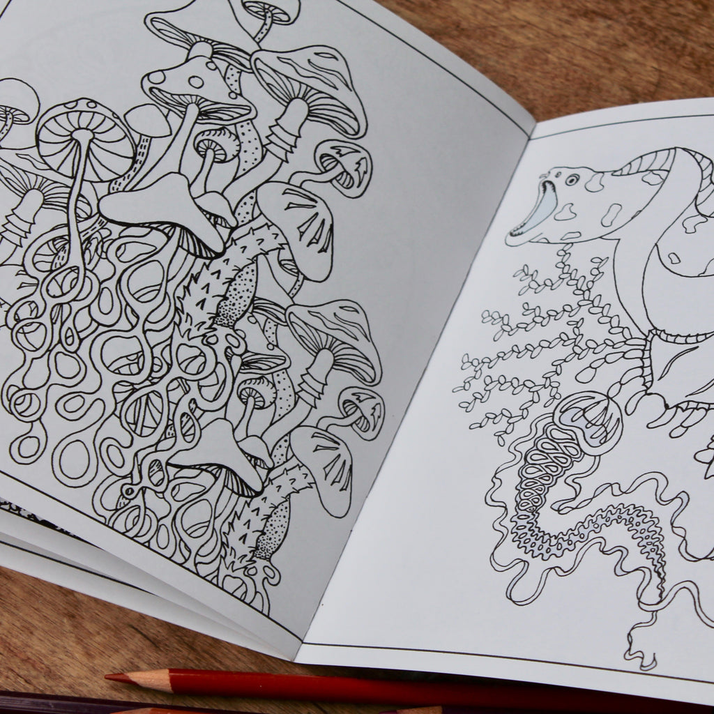 Radcakes Coloring Book #1 – RAD Shirts Custom Printing